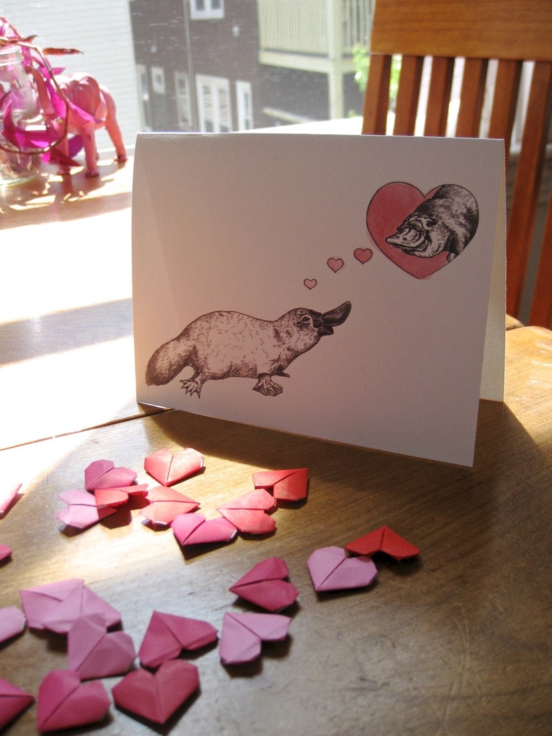 Platypus Card - Etsy
