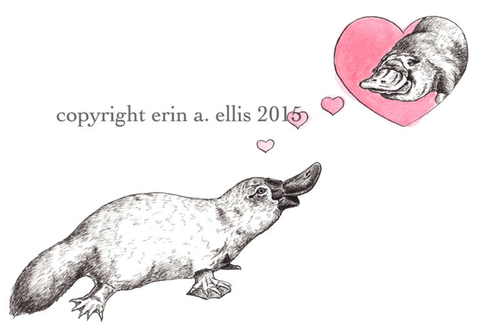Platypus Card - Etsy
