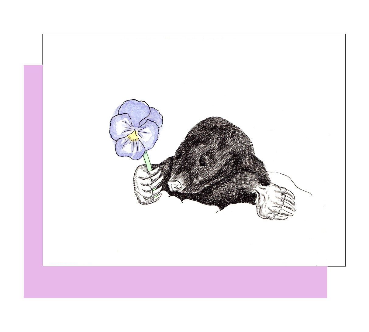Mole Card - Etsy
