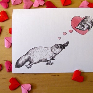 Platypus Card - Etsy