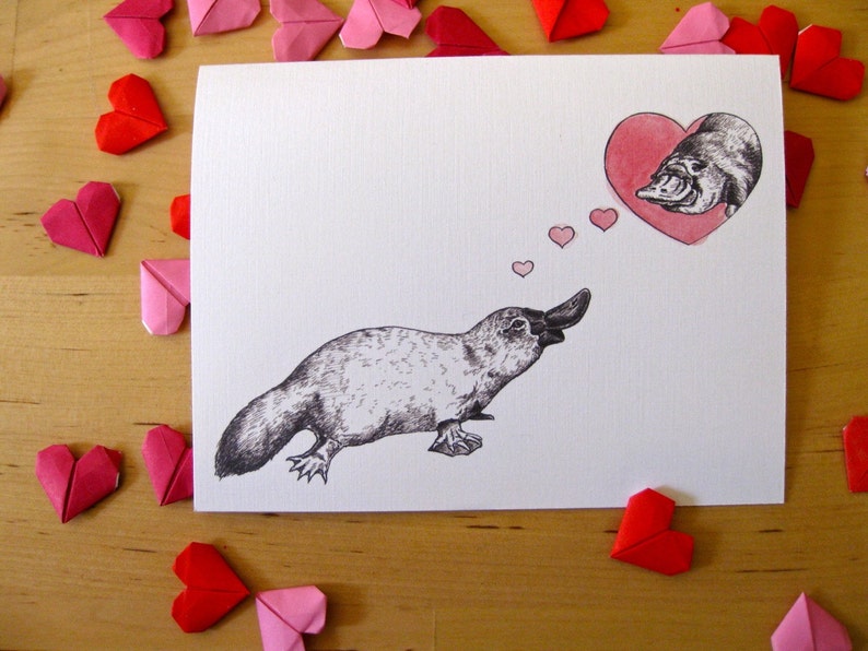 Platypus Card - Etsy