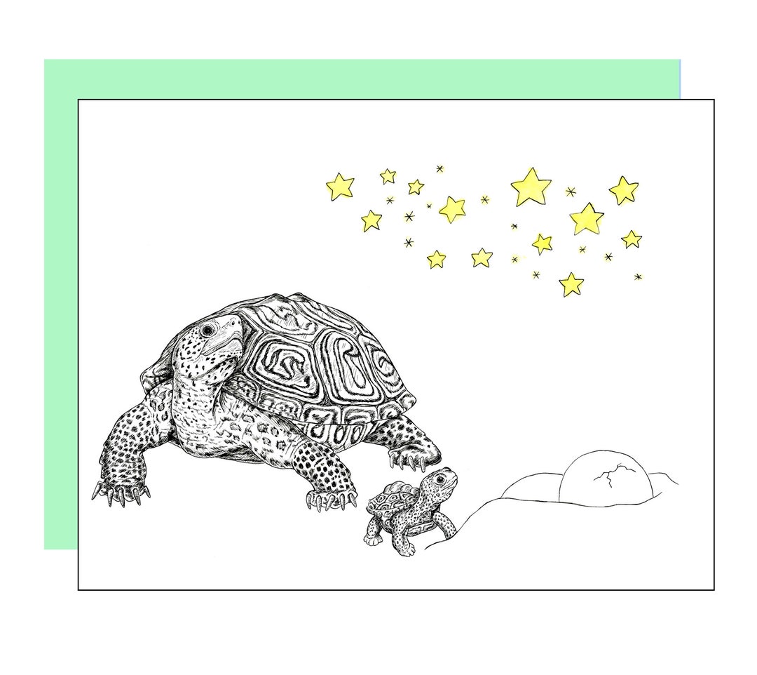 Turtle Card - Etsy