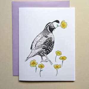 Quail Card - Etsy