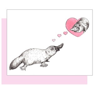 Platypus Card - Etsy