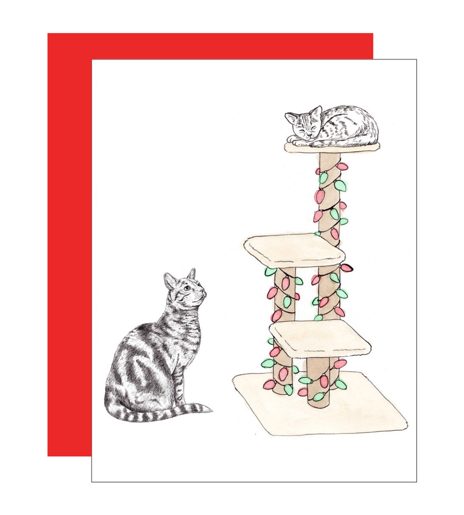 Cats Card - Etsy