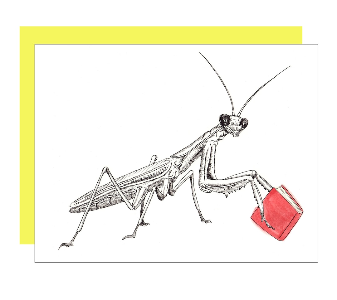 Praying Mantis Card - Etsy
