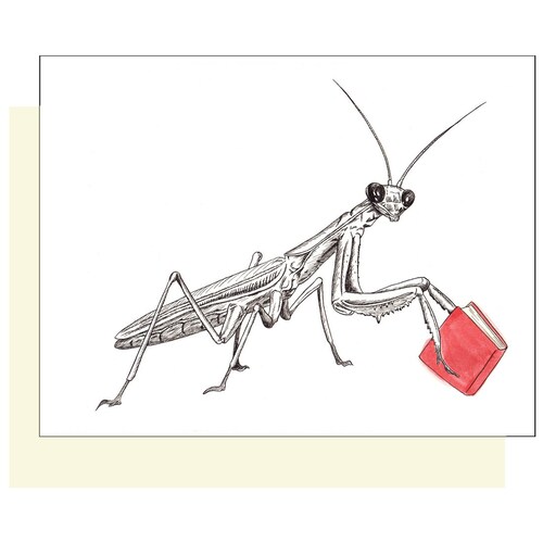 Mantis Shrimp Card 3 - Etsy