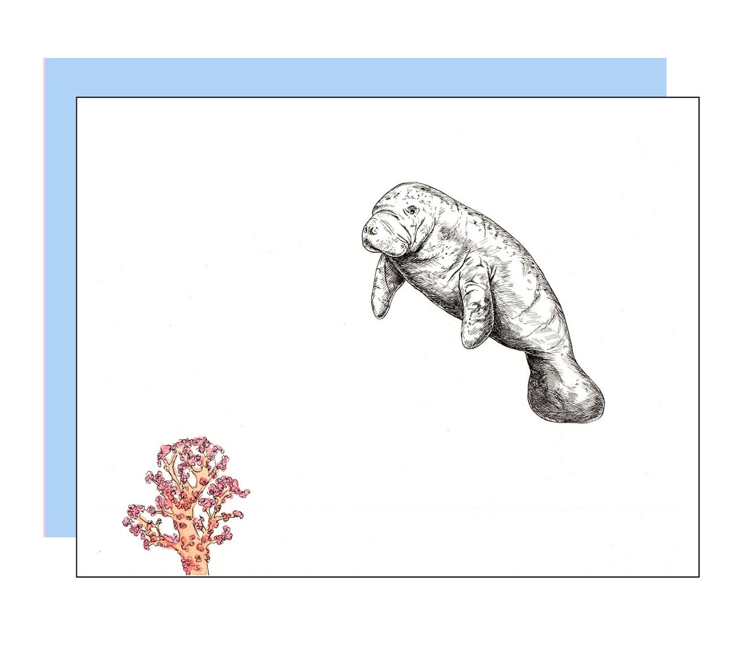 Manatee Card - Etsy