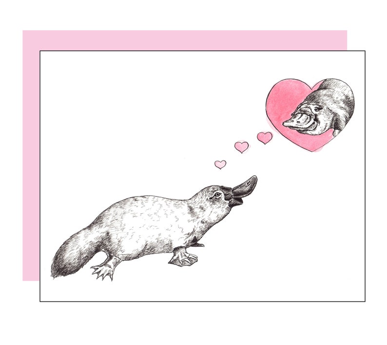 Platypus Card - Etsy