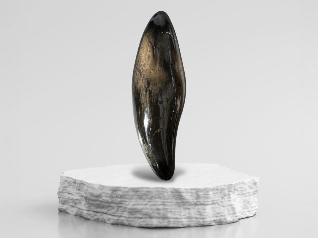 Fossil Tooth of Livyatan, a Prehistoric Sperm Whale From the Miocene ...