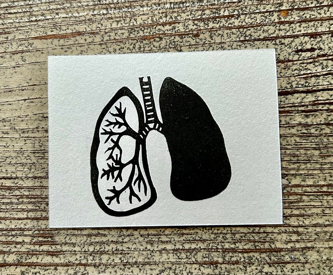 Anatomical Human Lungs Half Solid Half Exposed Hand Carved Rubber Stamp ...