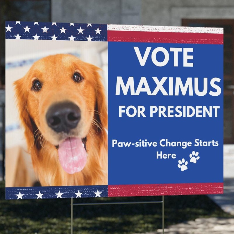 Funny Pet Signs - Etsy