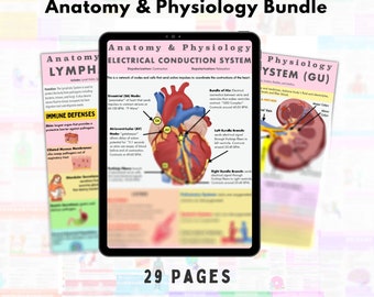 Beautiful Nursing LLC – BeautifulNursing