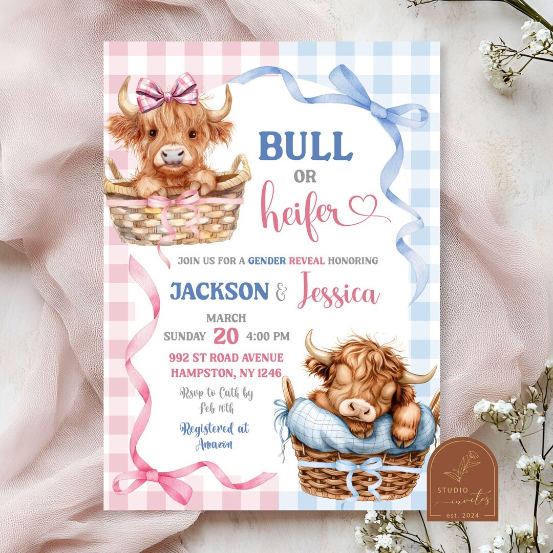 Preppy Bow Highland Cow Gender Reveal, Bull or Heifer Cow Gender Reveal ...