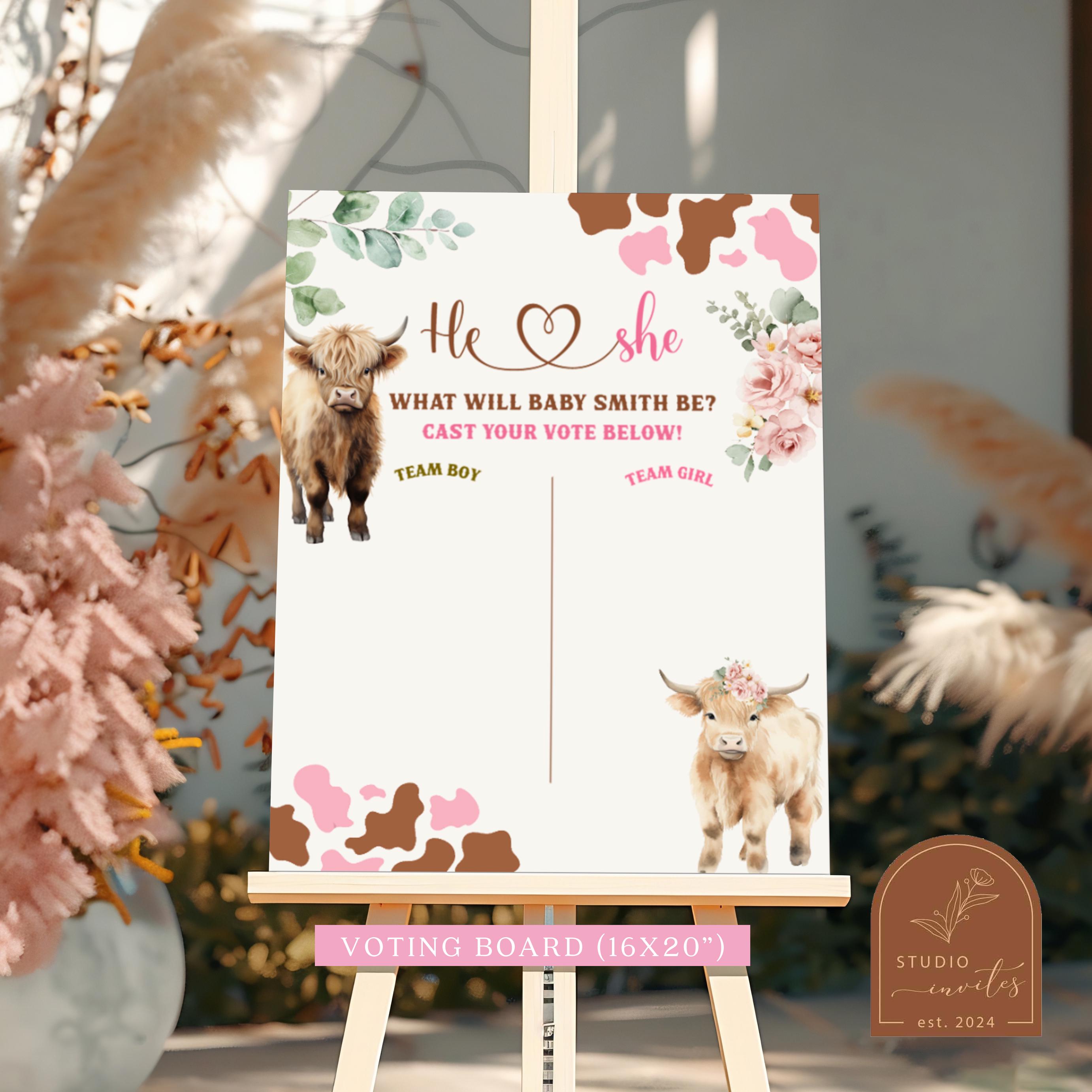 Highland Cow Voting Board Gender Reveal, Heifer Bull Gender Reveal Vote ...