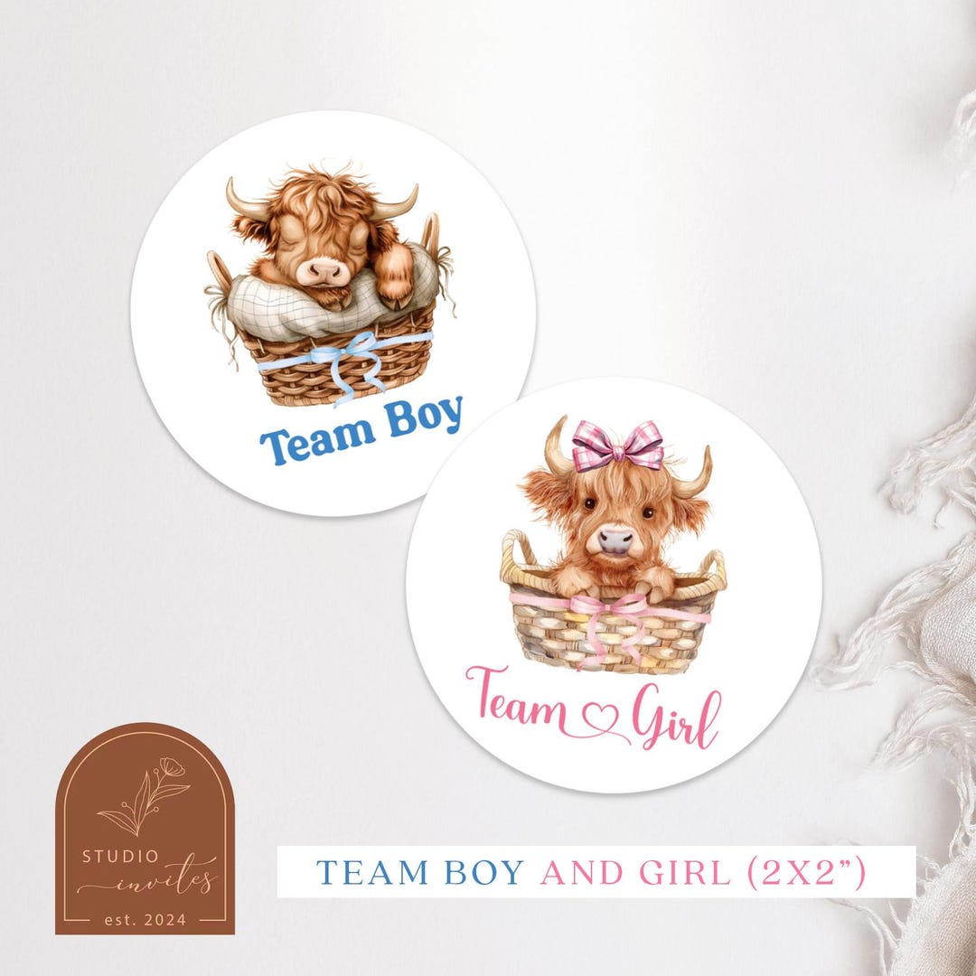 Boho Heifer or Bull Cow Gender Reveal Farm Sticker, Highland Cow Gender ...