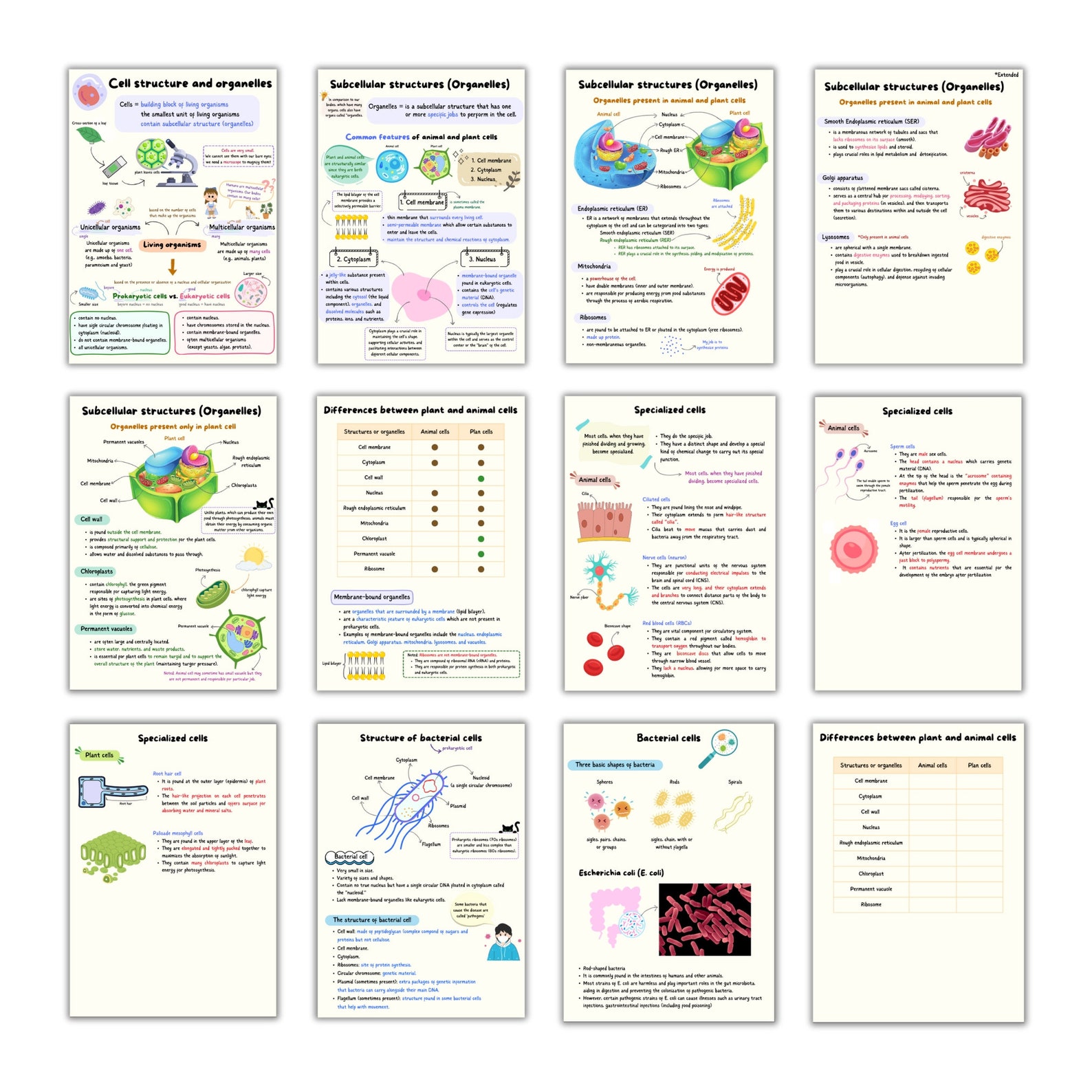 Cell Structures and Organelles I Biology Notes I GCSE I IGCSE I Short ...