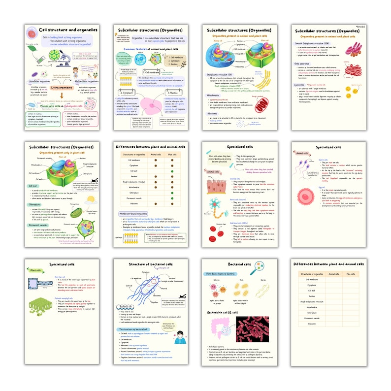 Cell Structures and Organelles I Biology Notes I GCSE I IGCSE I Short ...