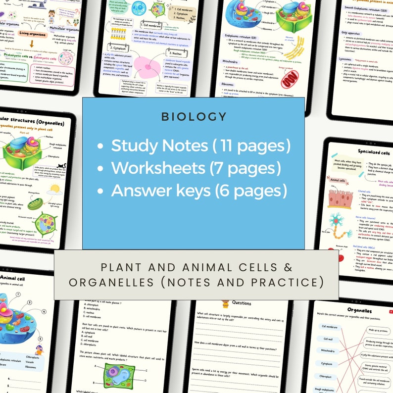 Cell Structures and Organelles I Biology Notes I GCSE I IGCSE I Short ...