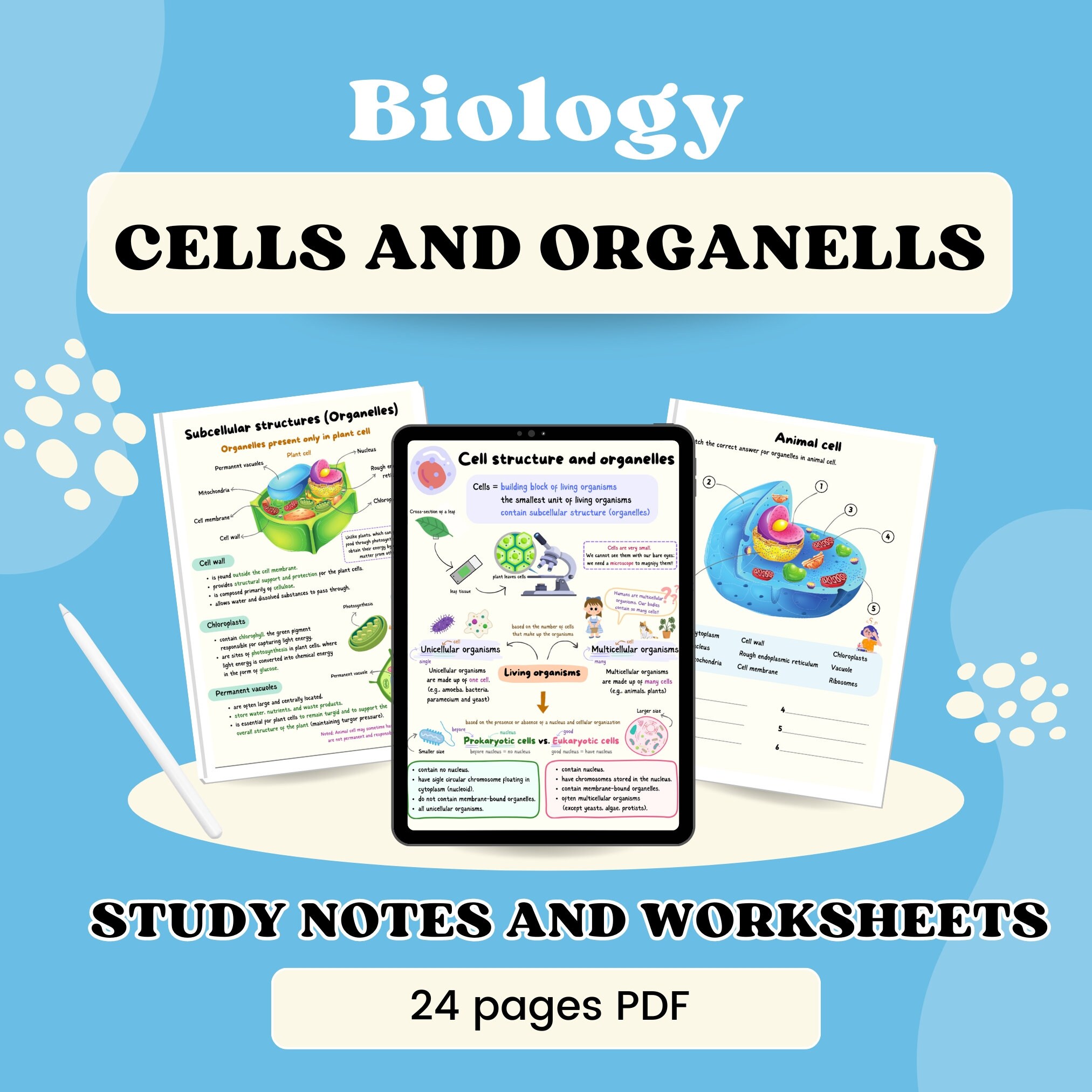 Cell Structures and Organelles I Biology Notes I GCSE I IGCSE I Short ...