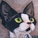 Devon Rex Cat Art Print Limited Edition Signed Tudexo From | Etsy