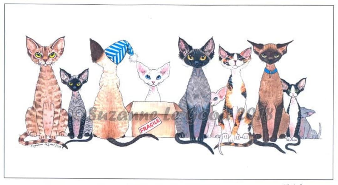 Devon Rex Cat Art Print Black Smoke, Tabby, Calico, White, Limited ...