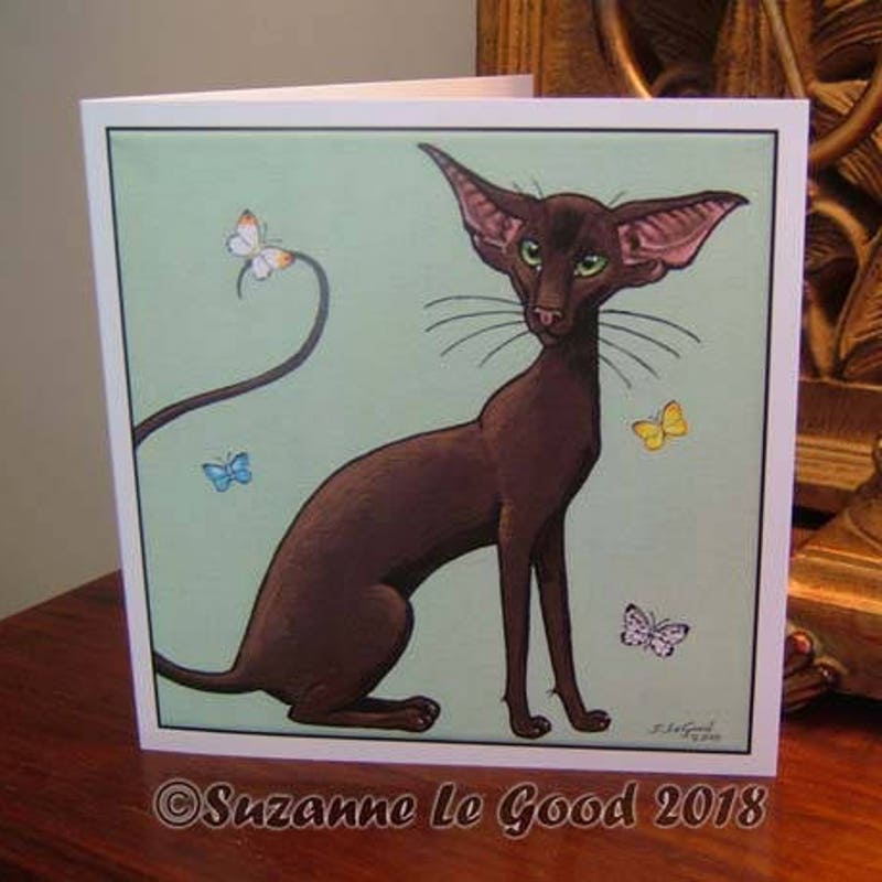 Marjem Kat Bb Gifts - 60+ Gift Ideas for 2025