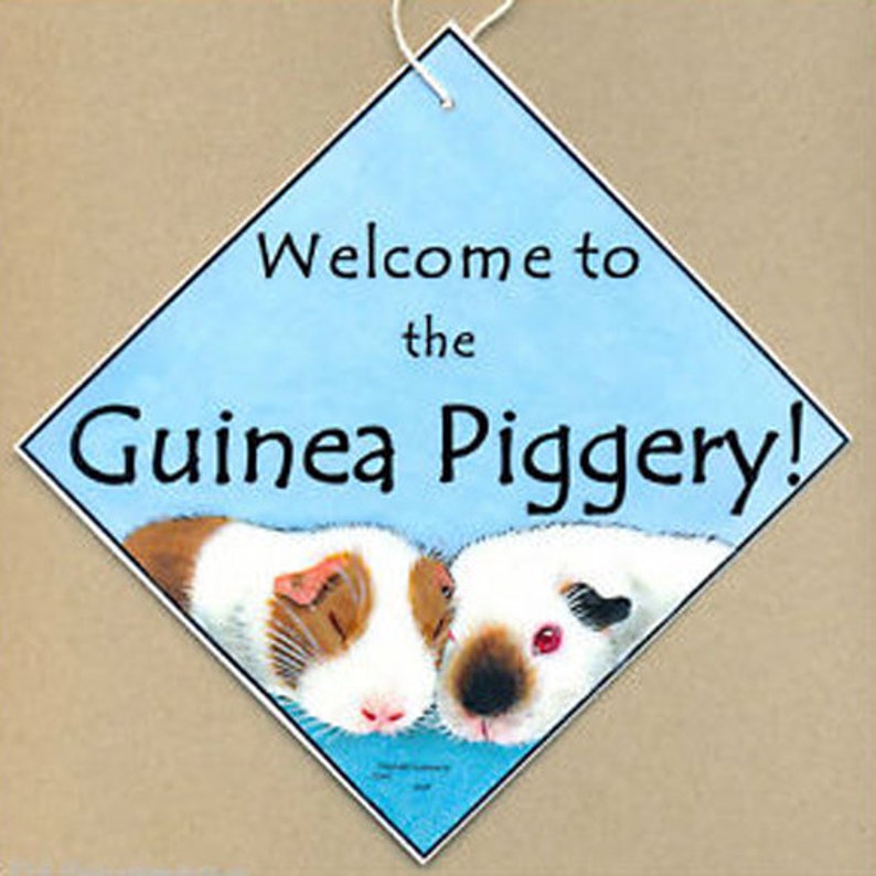 Original GUINEA PIG Cavy Hanging Welcome SIGN From Original Painting by ...