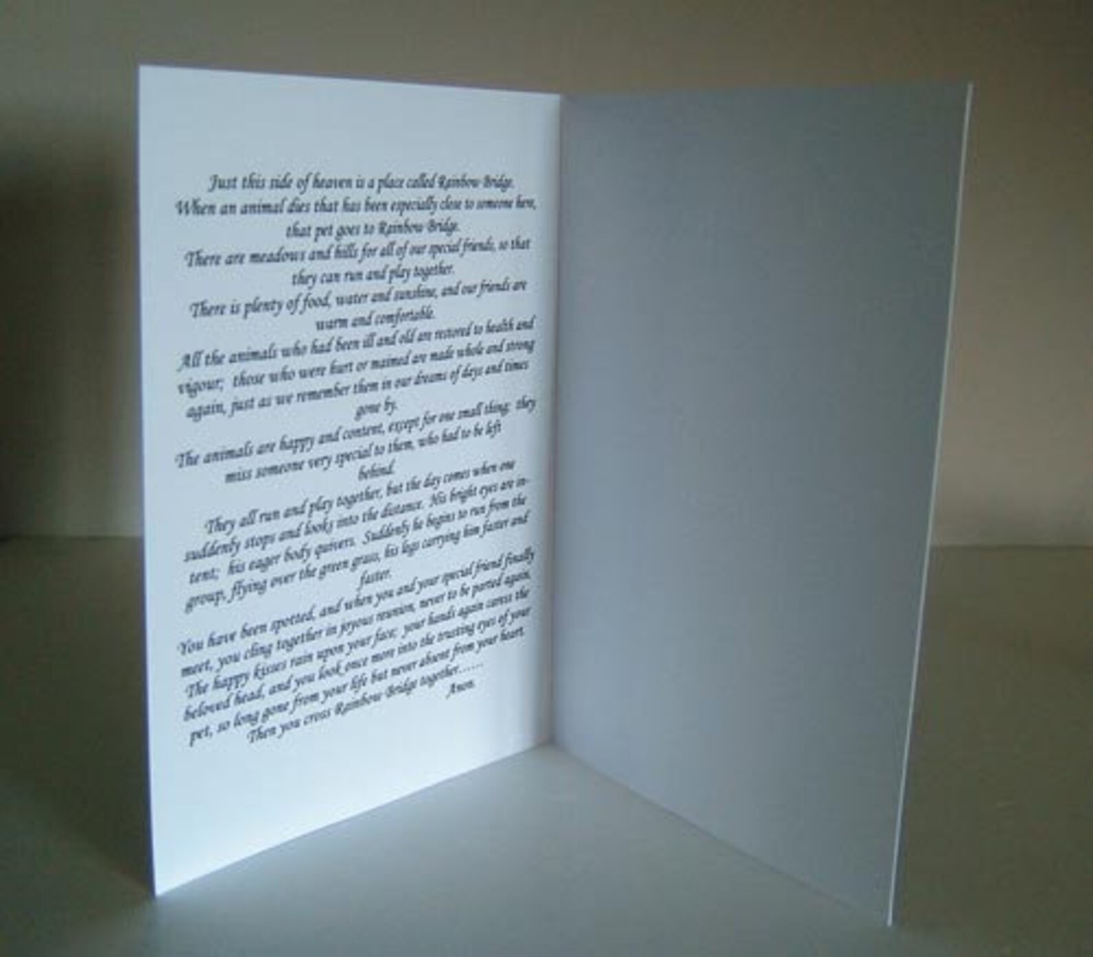 Rainbow Bridge Pet Loss Bereavement Art Cards 6 Pack From Original ...