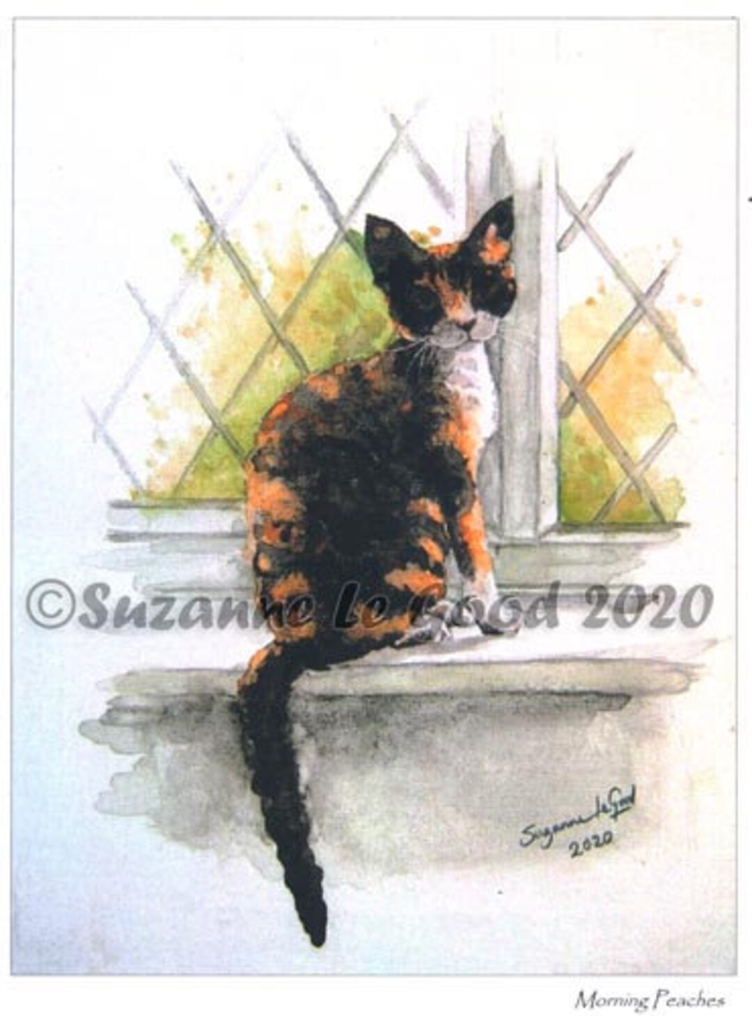 Devon Rex Cat Art Print Tortoiseshell Calico Limited Edition Large ...
