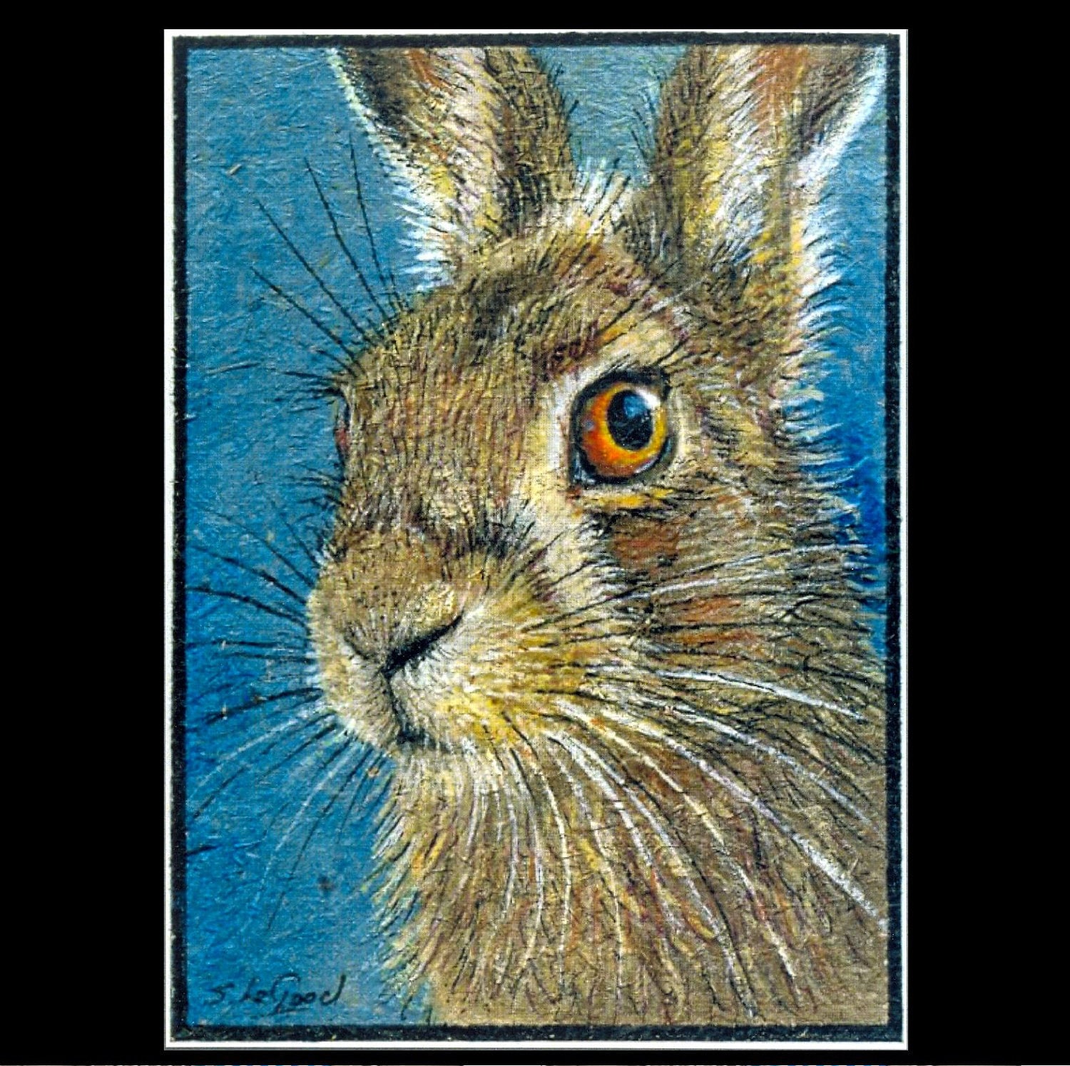 WILD HARE PRINT - Large, Limited Edition, Signed by Suzanne Le Good - Etsy
