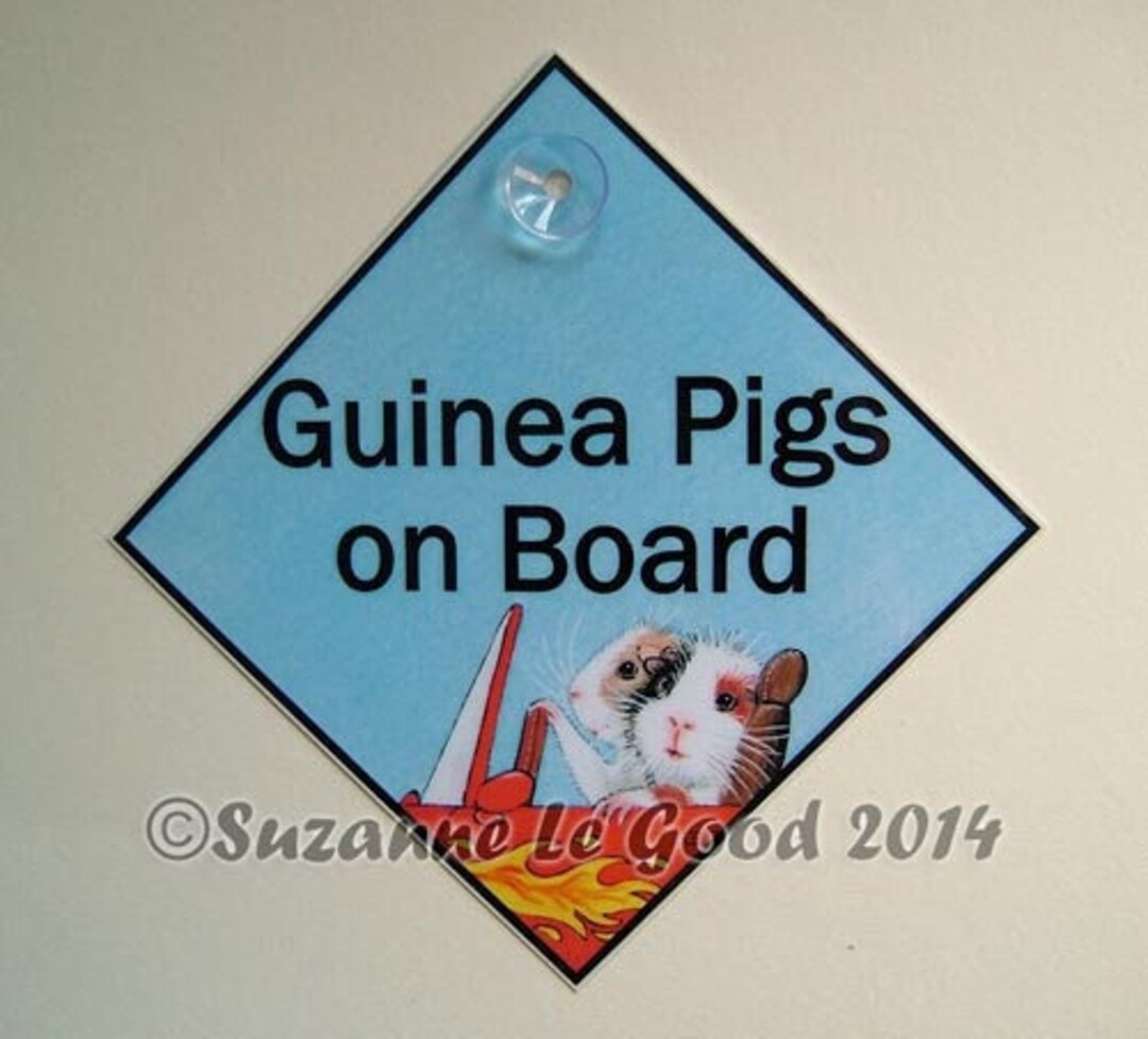 Guinea Pig Art Painting Cavy in Car Laminated Sign Original Design by ...