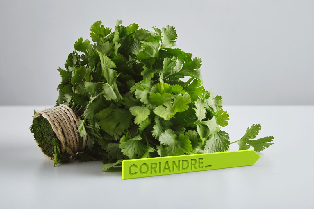 Plant Marker "coriander" – 3D STL File to Print | Herb Pick | Indoor ...