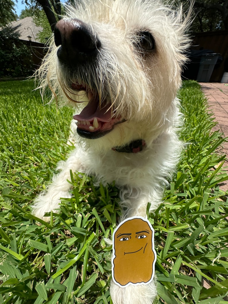 Gegagedigedagedago Nugget Sticker, Funny Meme Sticker - Etsy