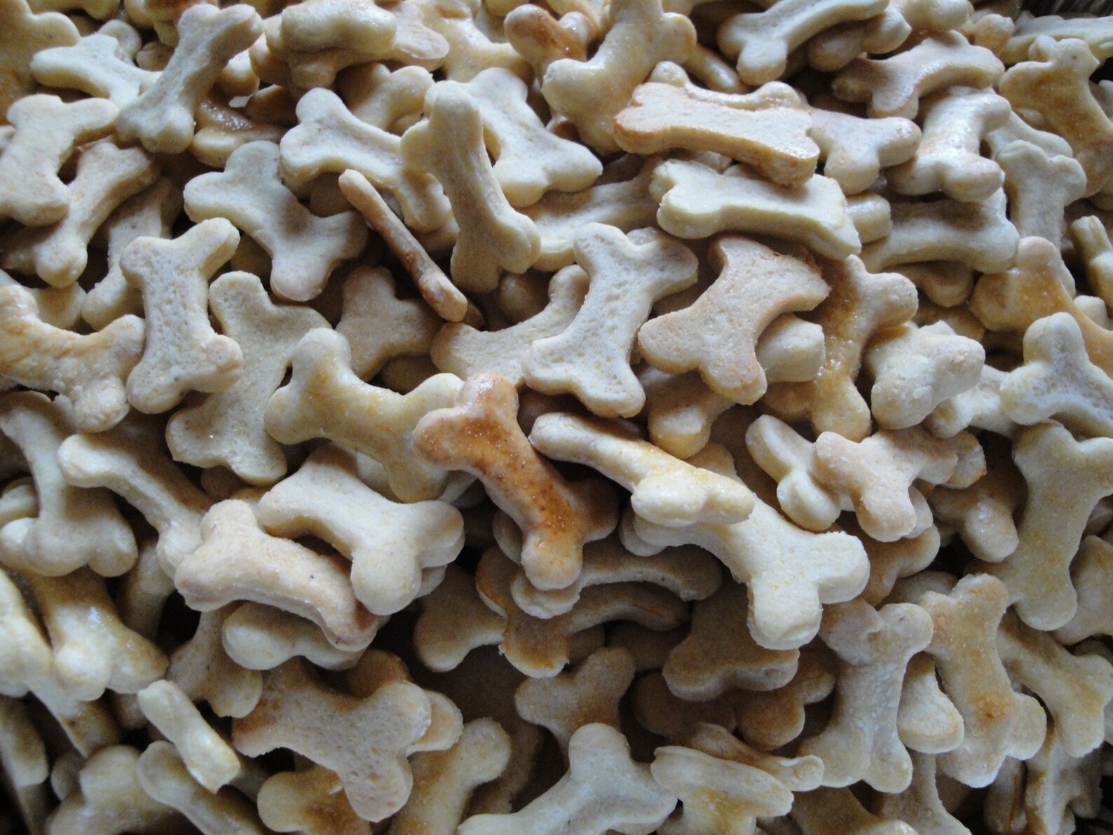 Lexi's Mini Bones-home Baked All Natural Gourmet Treats | Etsy