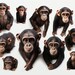 Adorable Monkey Clipart Pack for Instant Download - Etsy