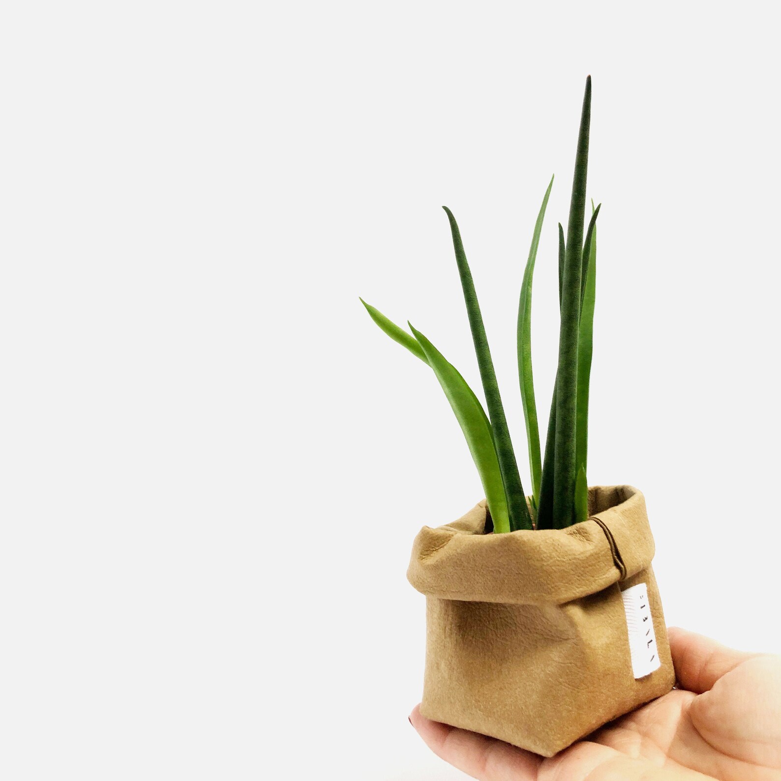 Paper Bag Planter Washable Paper Bag Small Storage Pot - Etsy