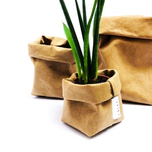 Washable Paper Planter - Eco-friendly Mini Pot for Succulents, Herbs ...