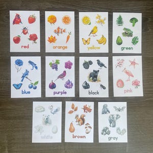 Printable Nature Color Flashcards, Digital Download, 11 Nature Color ...