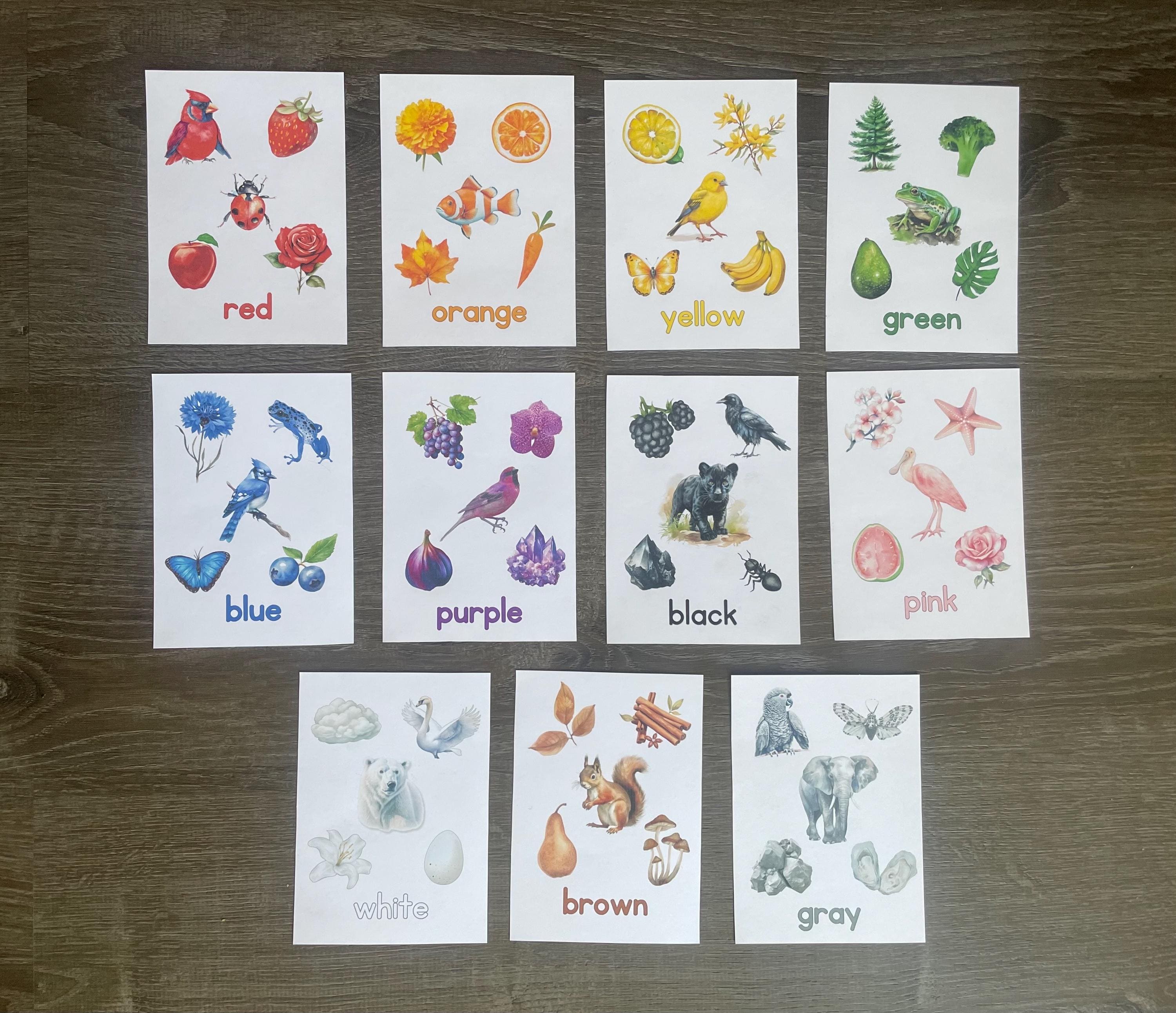 Printable Nature Color Flashcards, Digital Download, 11 Nature Color ...