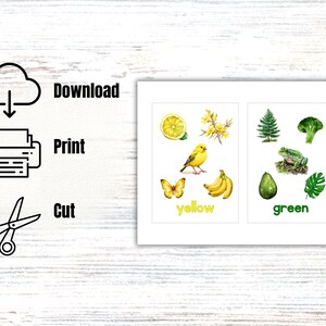 Printable Nature Color Flashcards, Digital Download, 11 Nature Color ...