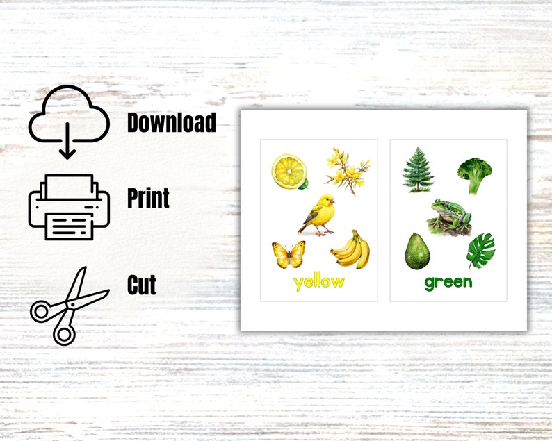 Printable Nature Color Flashcards, Digital Download, 11 Nature Color ...