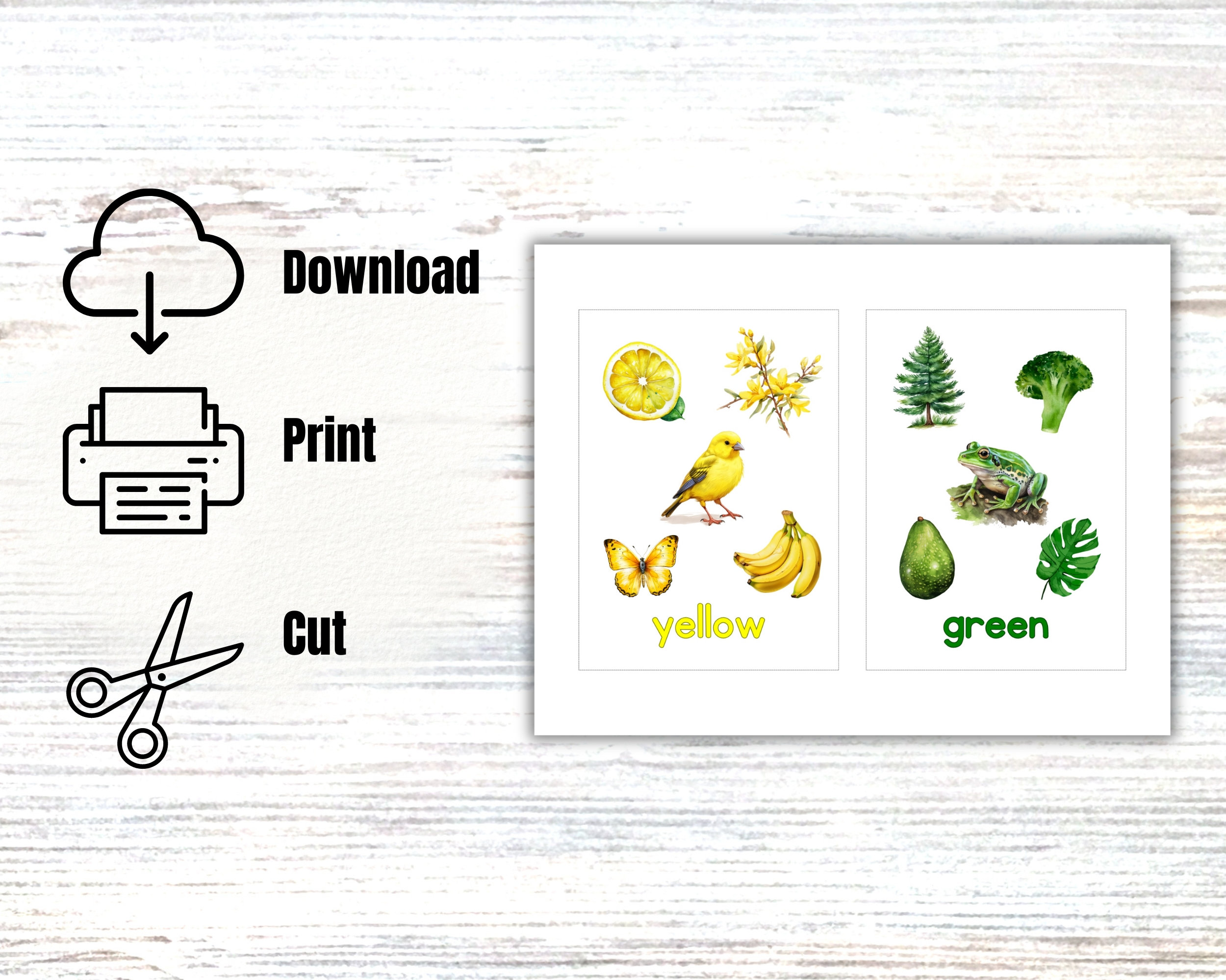 Printable Nature Color Flashcards, Digital Download, 11 Nature Color ...