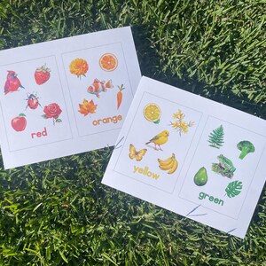 Printable Nature Color Flashcards, Digital Download, 11 Nature Color ...