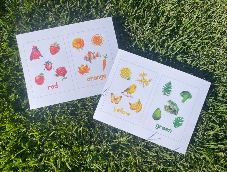 Printable Nature Color Flashcards, Digital Download, 11 Nature Color ...