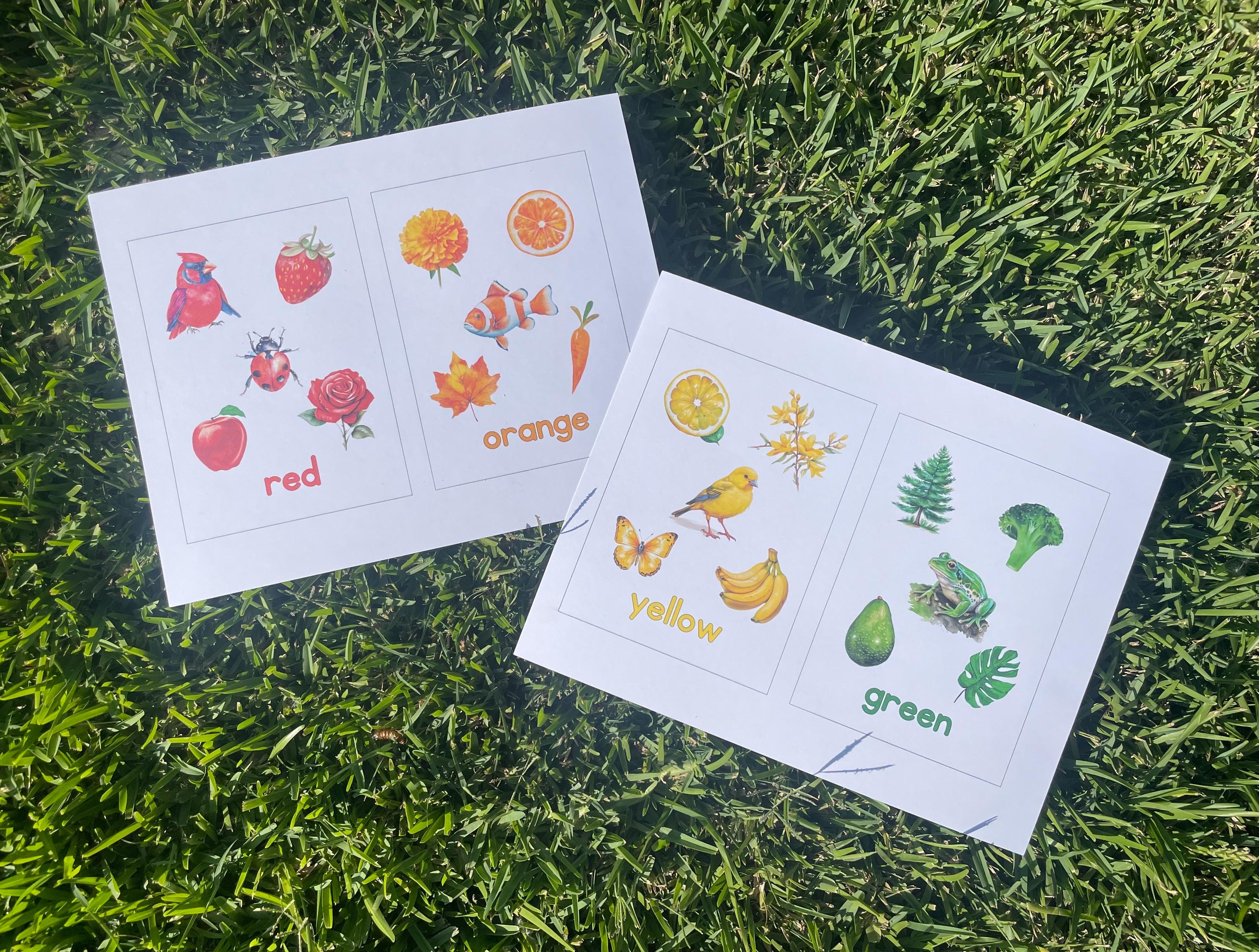 Printable Nature Color Flashcards, Digital Download, 11 Nature Color ...