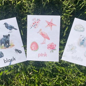 Printable Nature Color Flashcards, Digital Download, 11 Nature Color ...