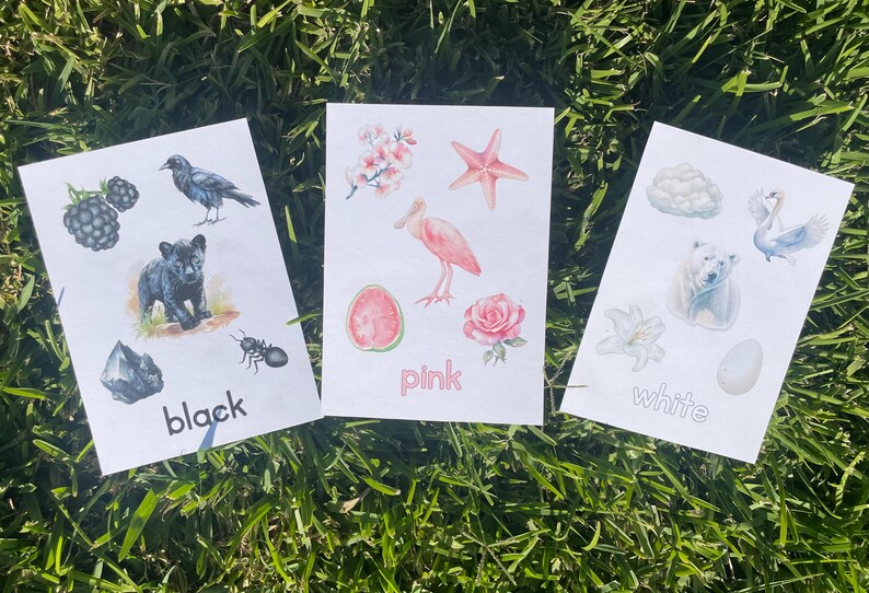 Printable Nature Color Flashcards, Digital Download, 11 Nature Color ...