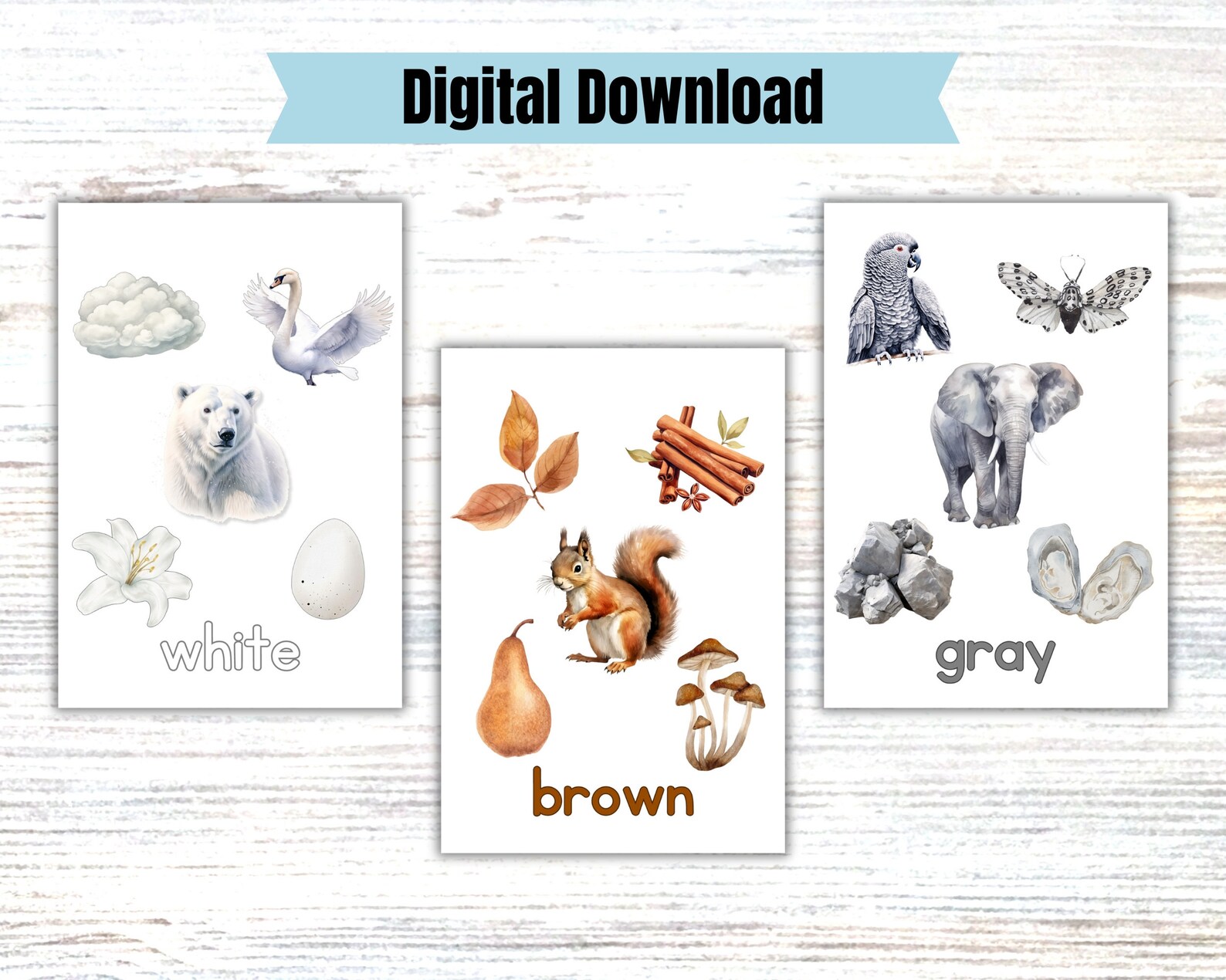 Printable Nature Color Flashcards, Digital Download, 11 Nature Color ...