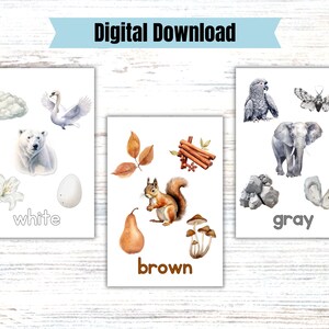 Printable Nature Color Flashcards, Digital Download, 11 Nature Color ...
